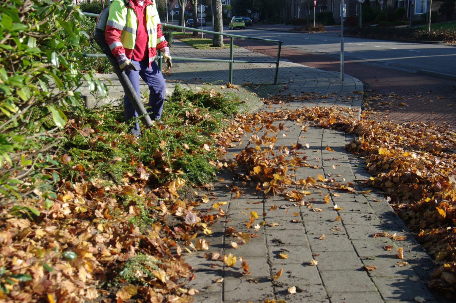 Spring Clean-up – Syracuse Lawn & Maintenance